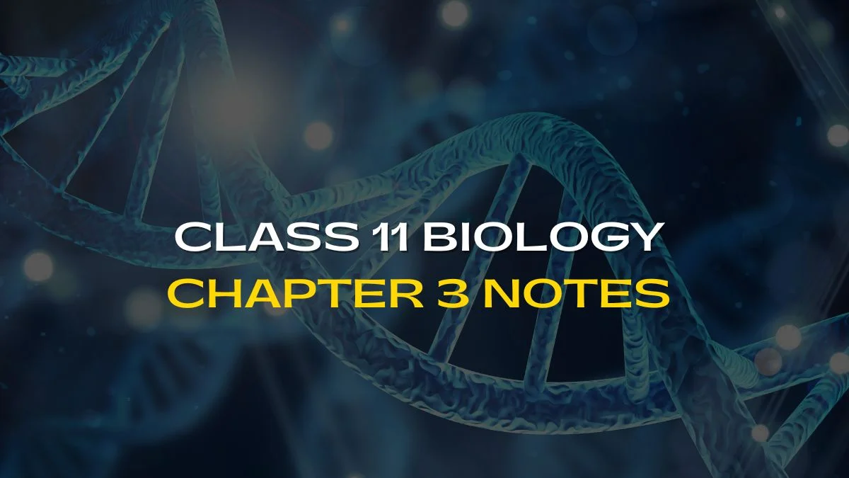 Kingdom Plantae – Class 11 Biology Chapter 3 | SSC Board Notes ...